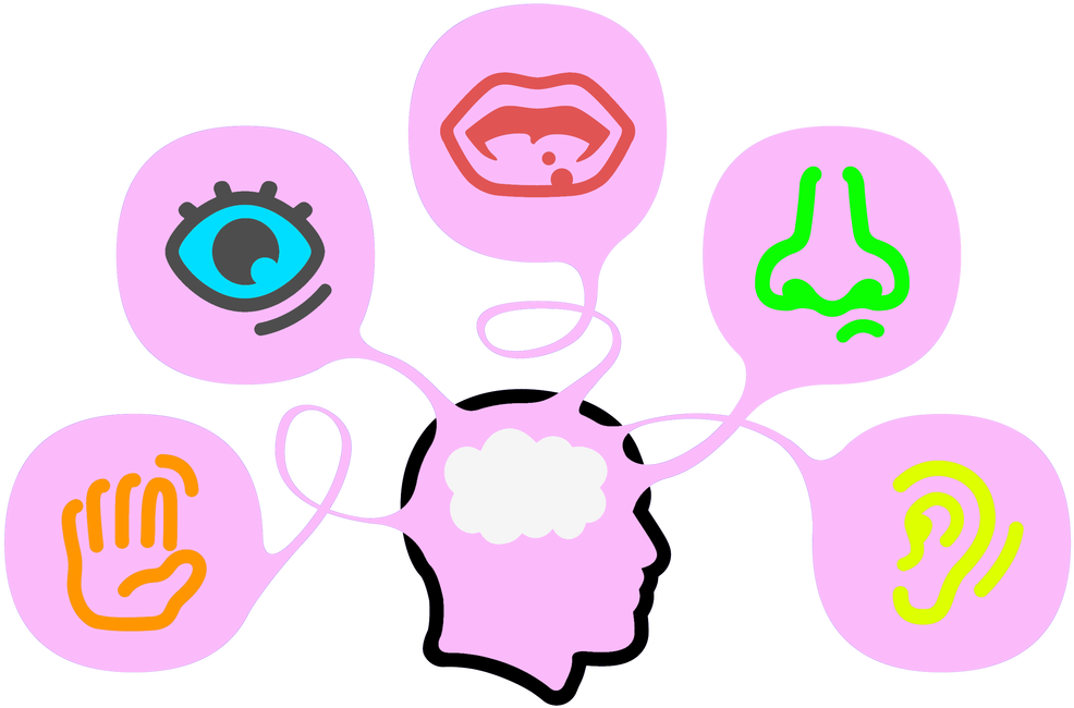 5 Senses Clipart Transparent, 5 Senses Transparent - Senses Clipart ...