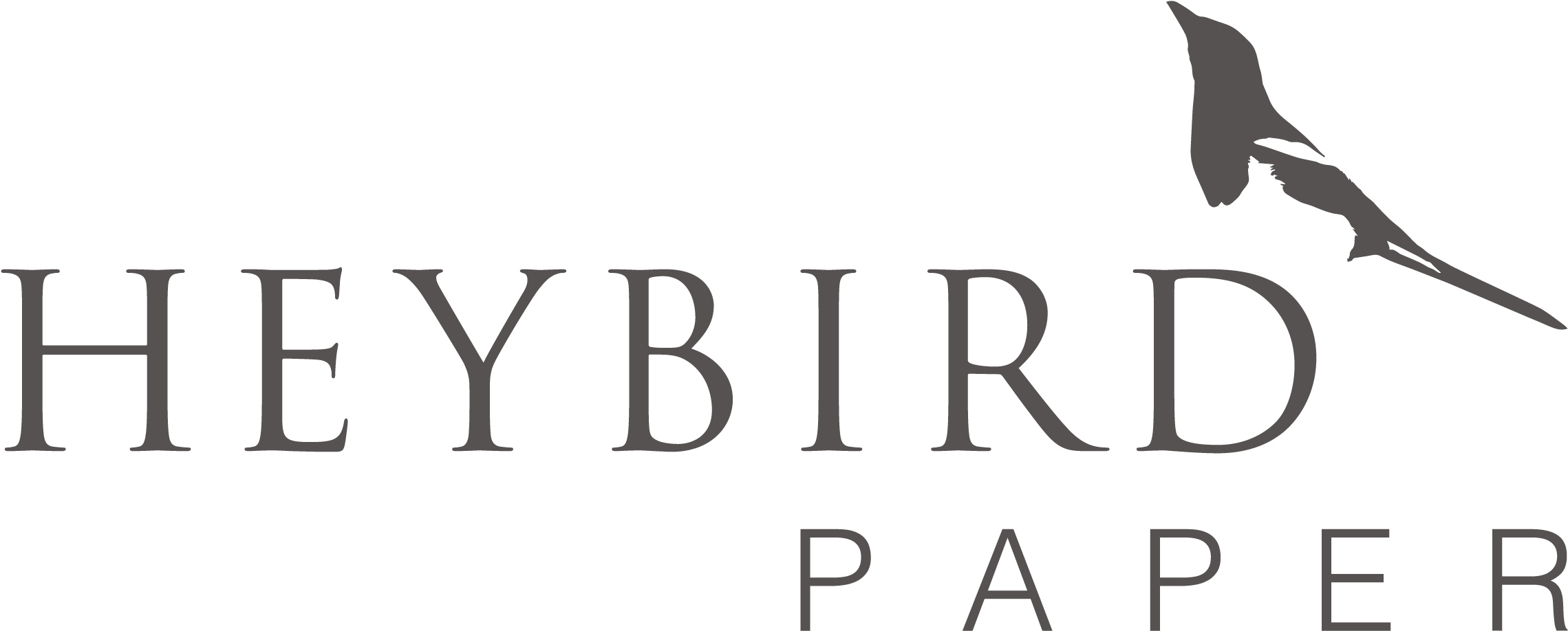 Download Hey Bird Paper Clipart (#5343514) - PinClipart