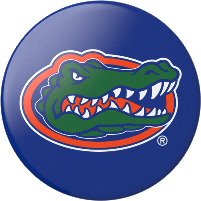 Florida Gators Game Day Clipart - Full Size Clipart (#5360031) - PinClipart