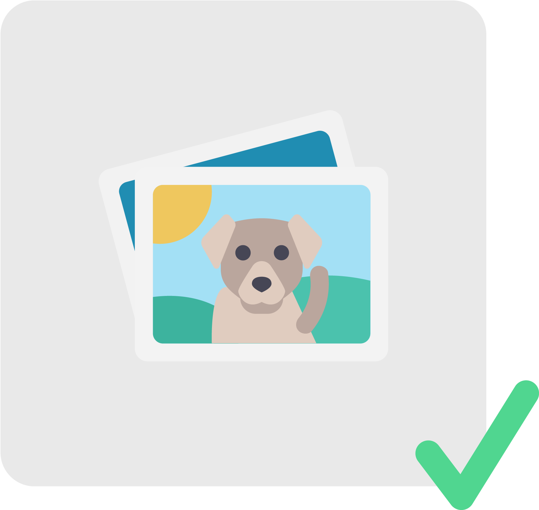 Pet Disaster Preparedness, Pet Disaster Safety, Emergency - Cartoon ...