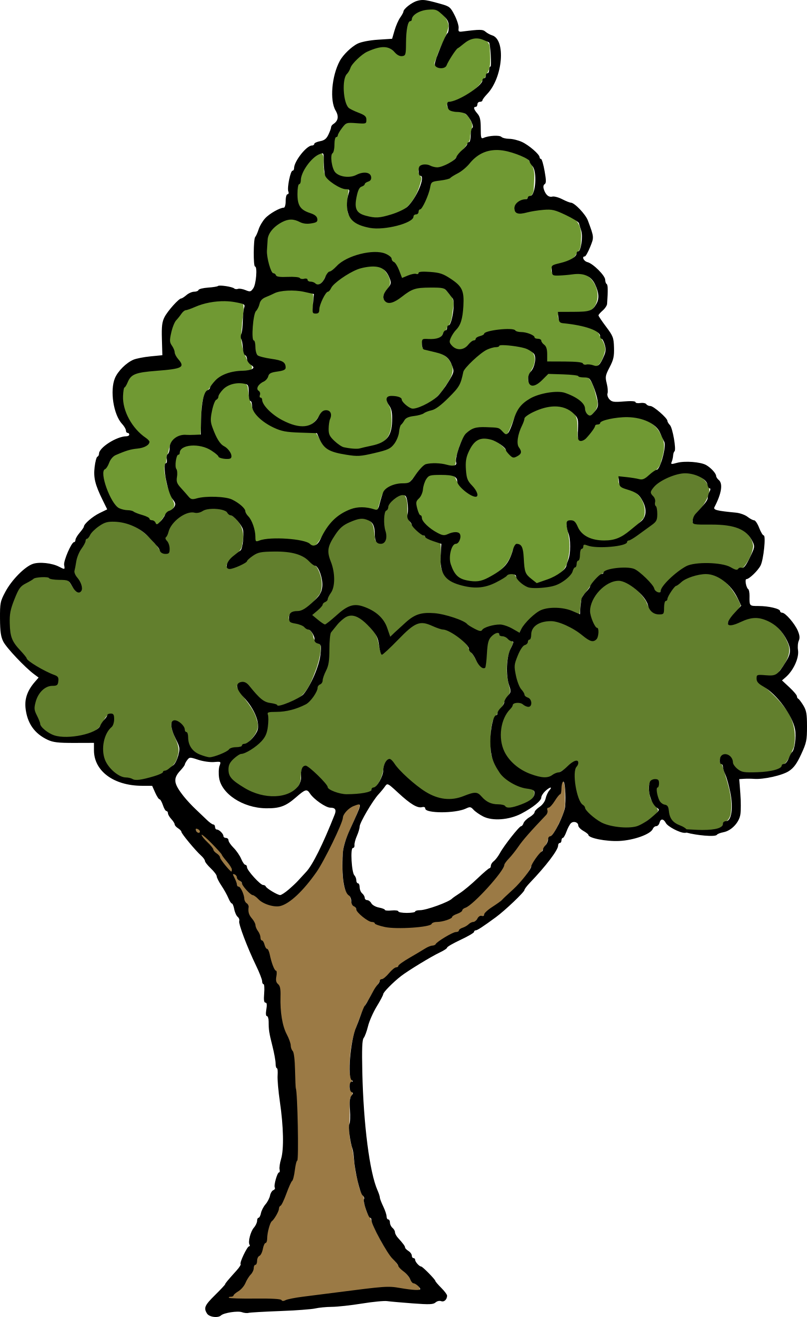 Cartoon Tree 6 Clipart - Full Size Clipart (#5377425) - PinClipart