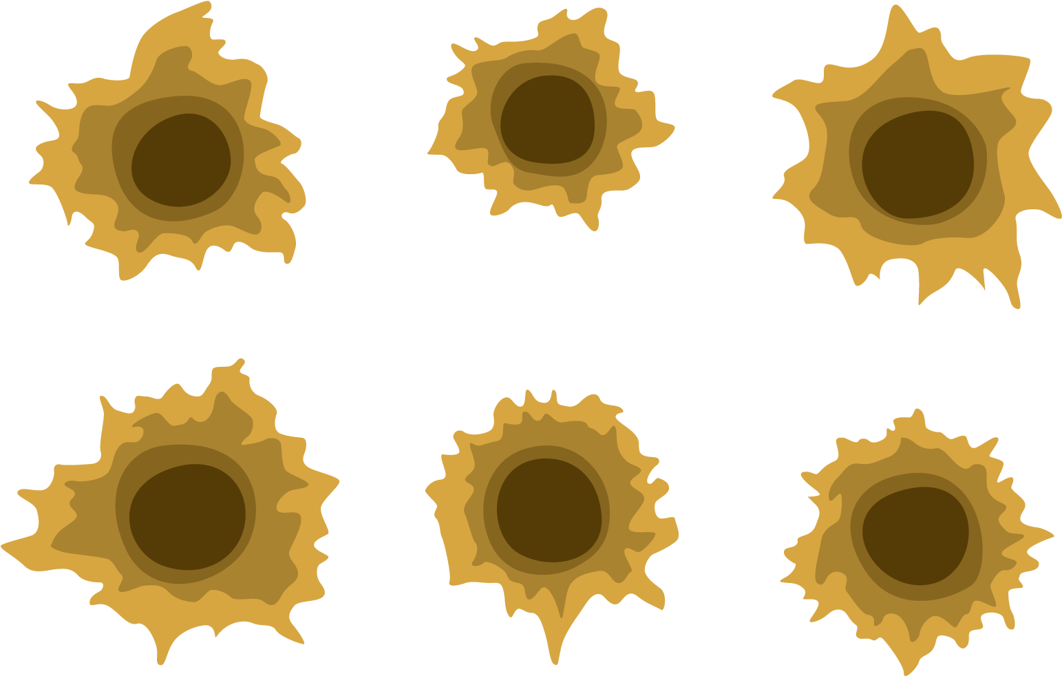 Bullet Holes In Wood