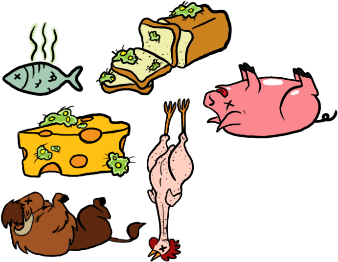 Download Free Png Food Spoilage Reminder Magnets By - Food Spoilage Png ...