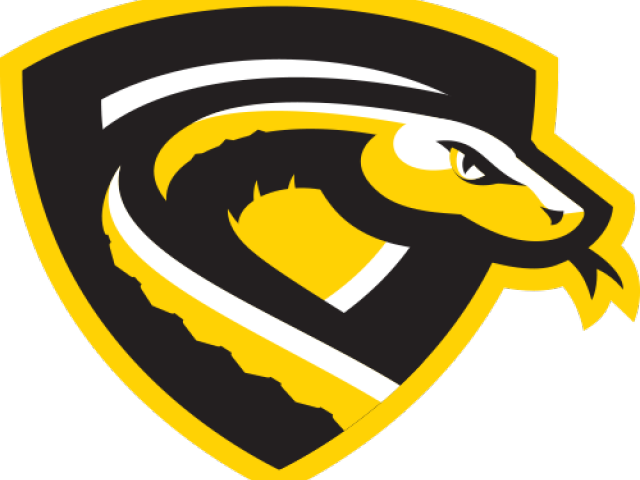 Download Python Logo Clipart Colorful Animal - Perth Pythons Logos ...