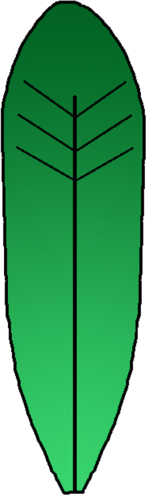 Clip Art Turkey Feathers - Png Download - Full Size Clipart (#5395229 ...