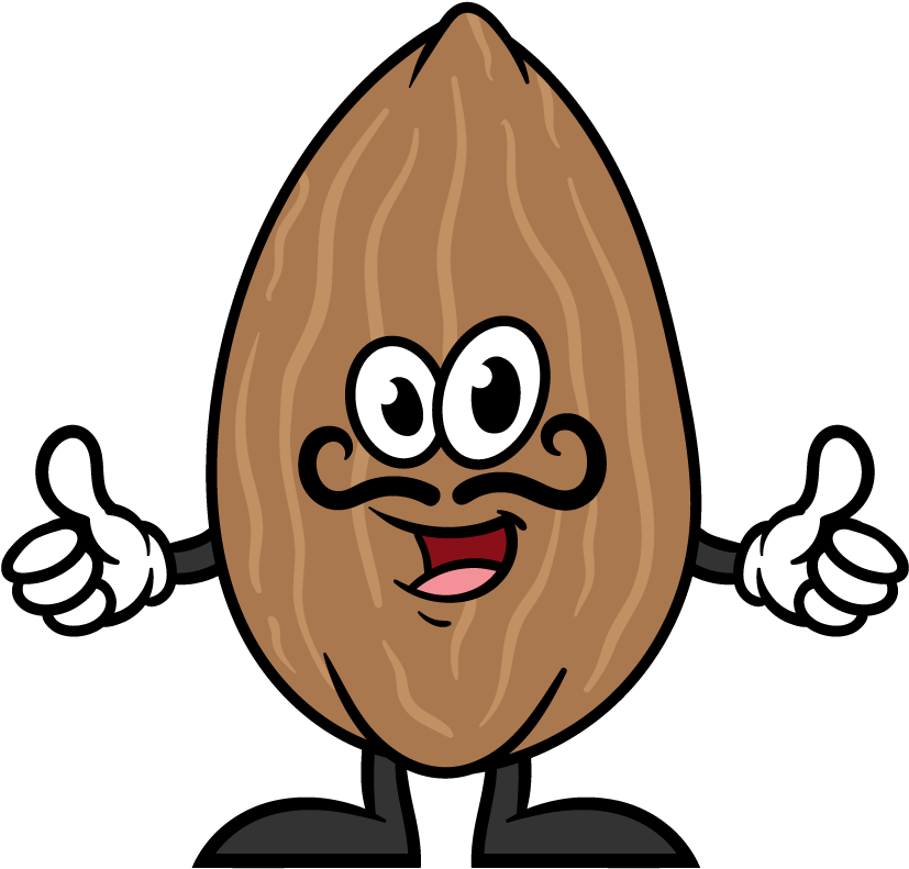 Fad Or Fact - Cartoon Pecan Clipart - Full Size Clipart (#546657 ...