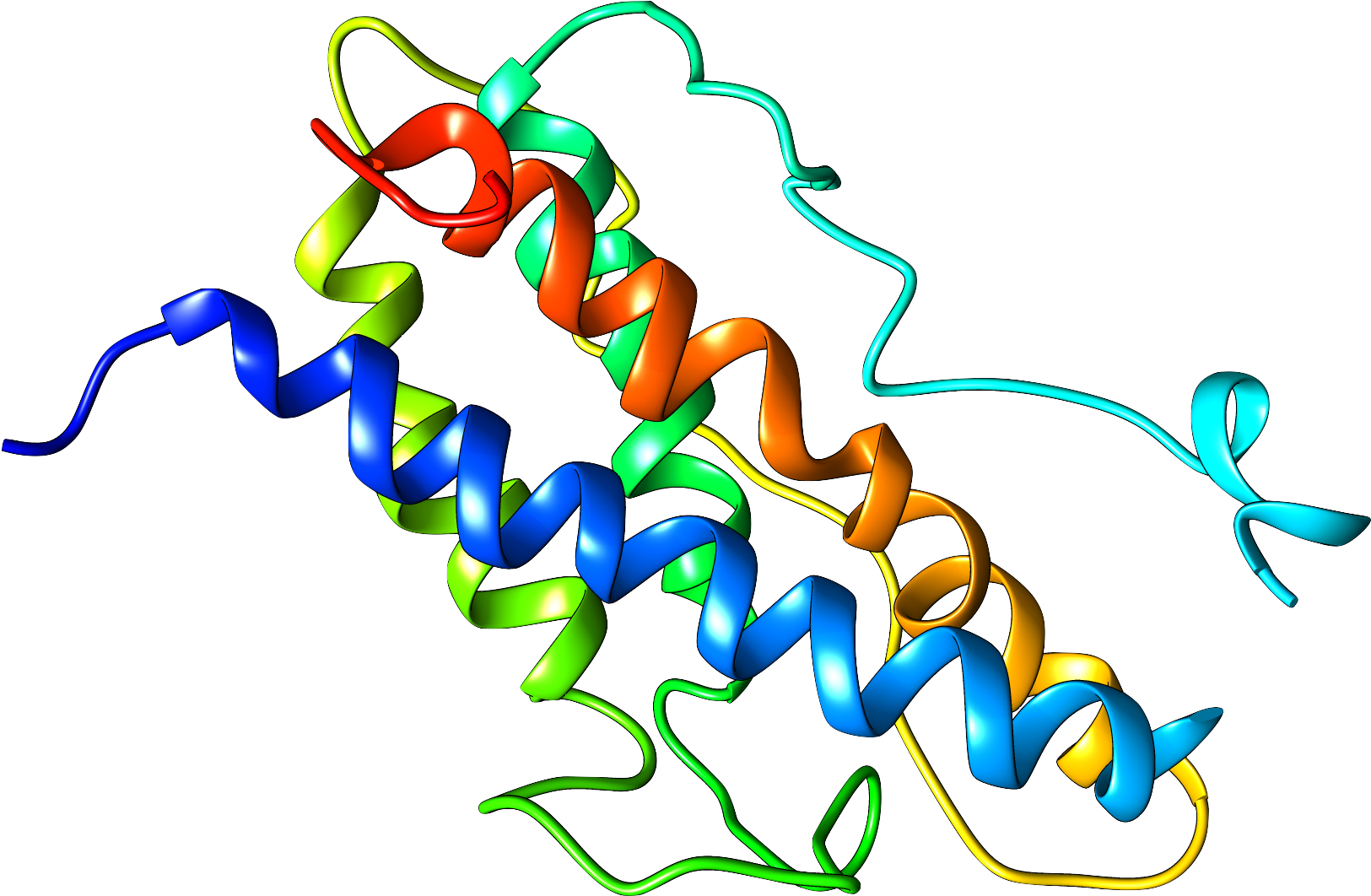 Endoplasmic Reticulum Clipart - Png Download - Full Size Clipart ...