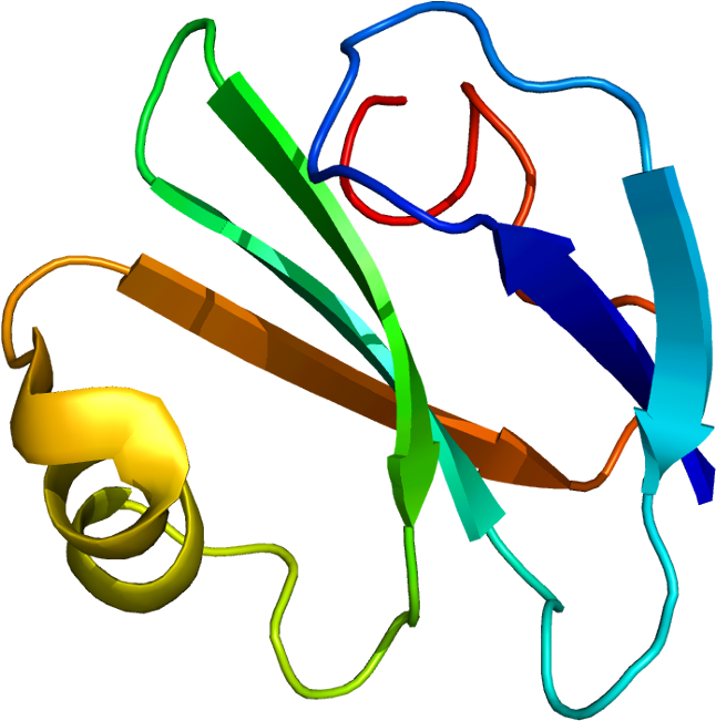 Complement System Png Clipart - Full Size Clipart (#5405348) - PinClipart