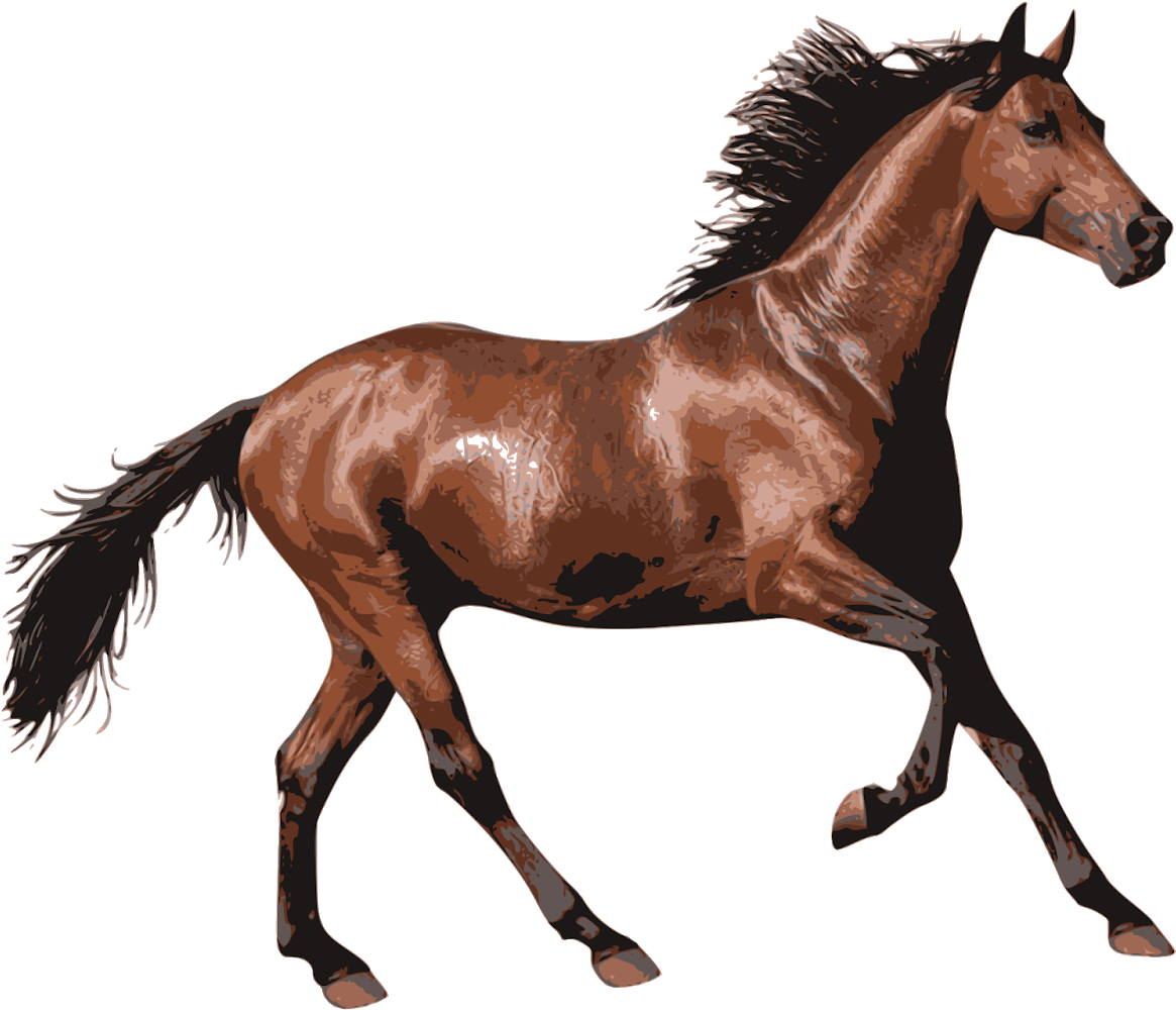 Foal,mare,horse - Transparent Horse Png Clipart - Full Size Clipart ...