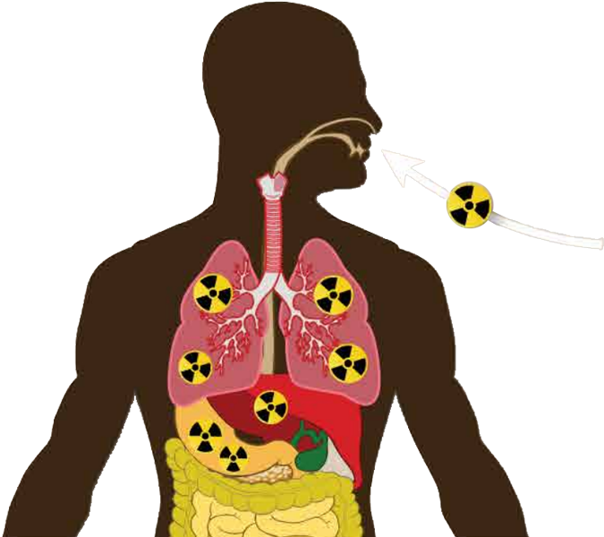 Vector Graphic Showing Radioactive Materials Entering - Illustration ...
