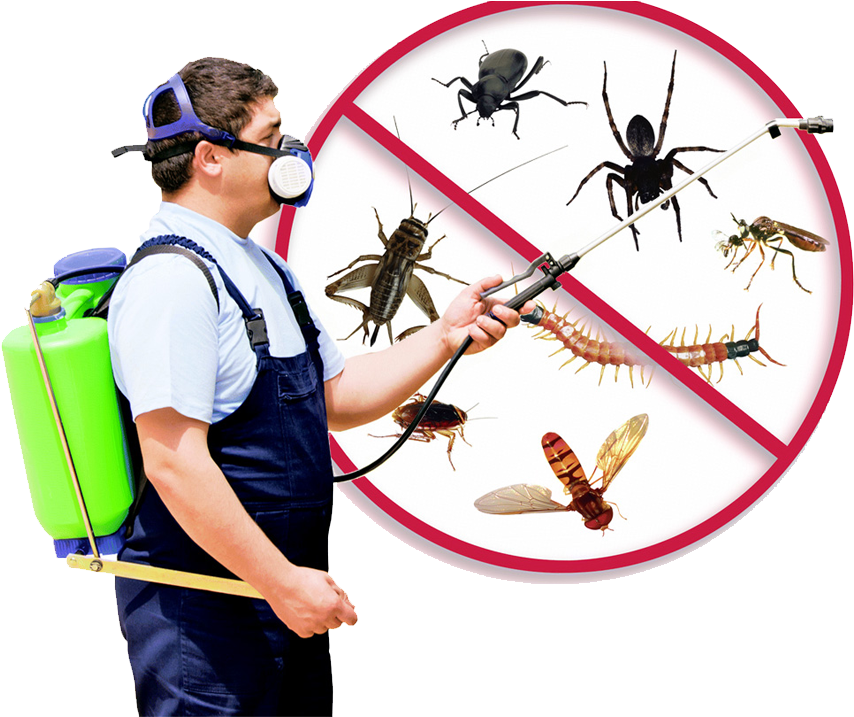 Pest Control Services Clipart - Full Size Clipart (#5421212) - PinClipart