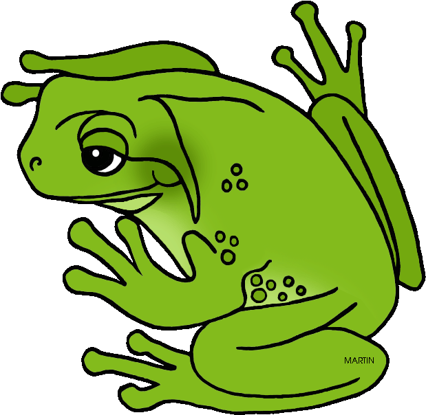Georgia State Amphibian - Green Tree Frog Clipart - Png Download - Full ...