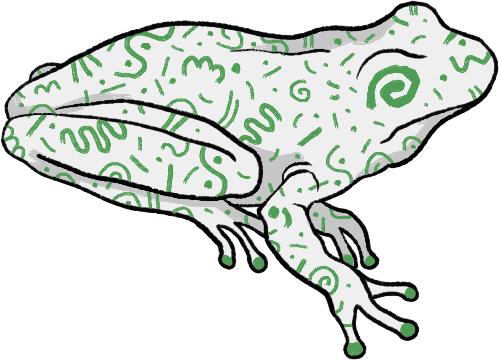 Vampire Weekend Father Of The Bride Frog Clipart - Full Size Clipart ...