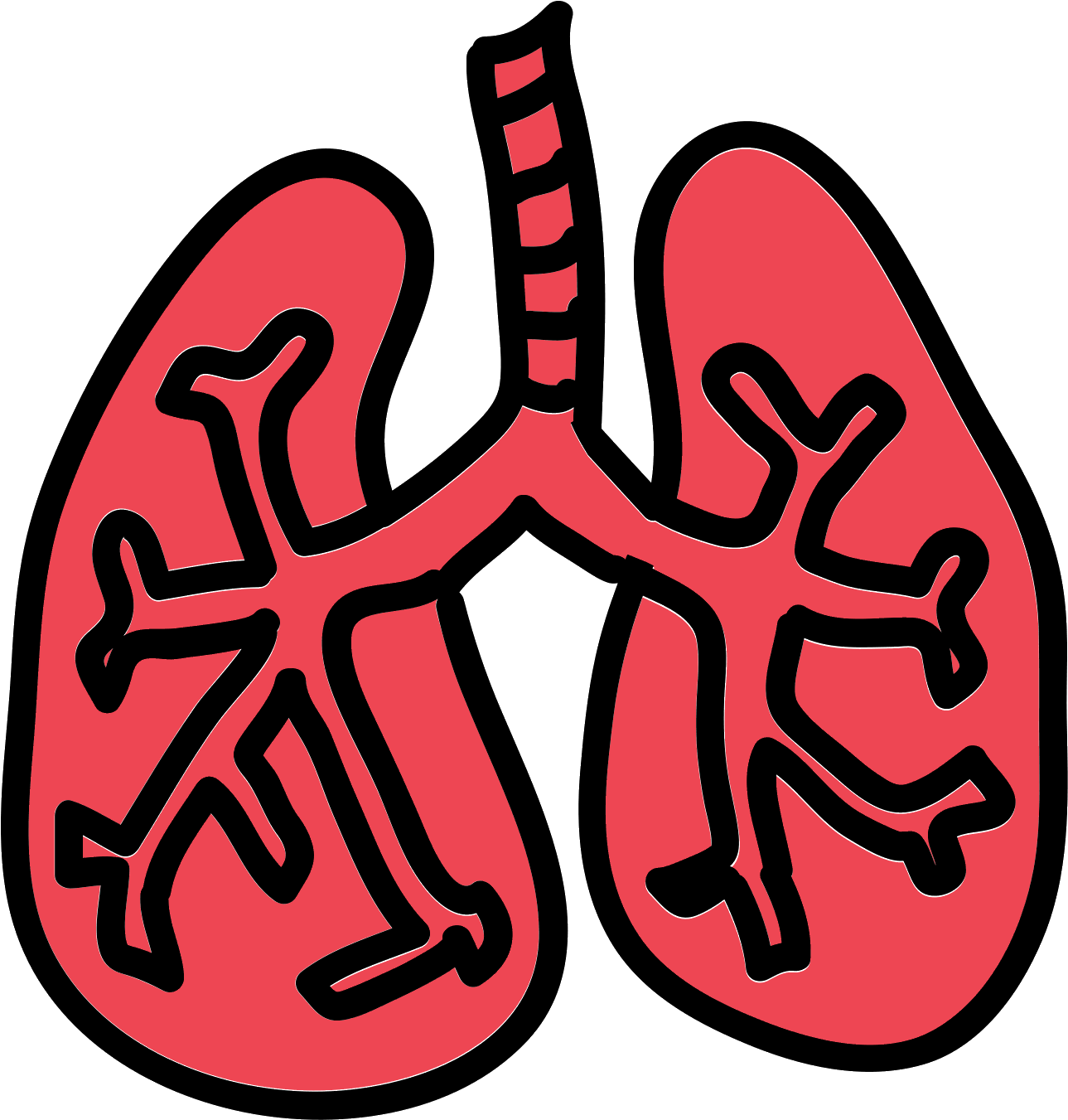 Lungs Png - Lungs Cartoon Png Clipart - Full Size Clipart (#5436295 ...