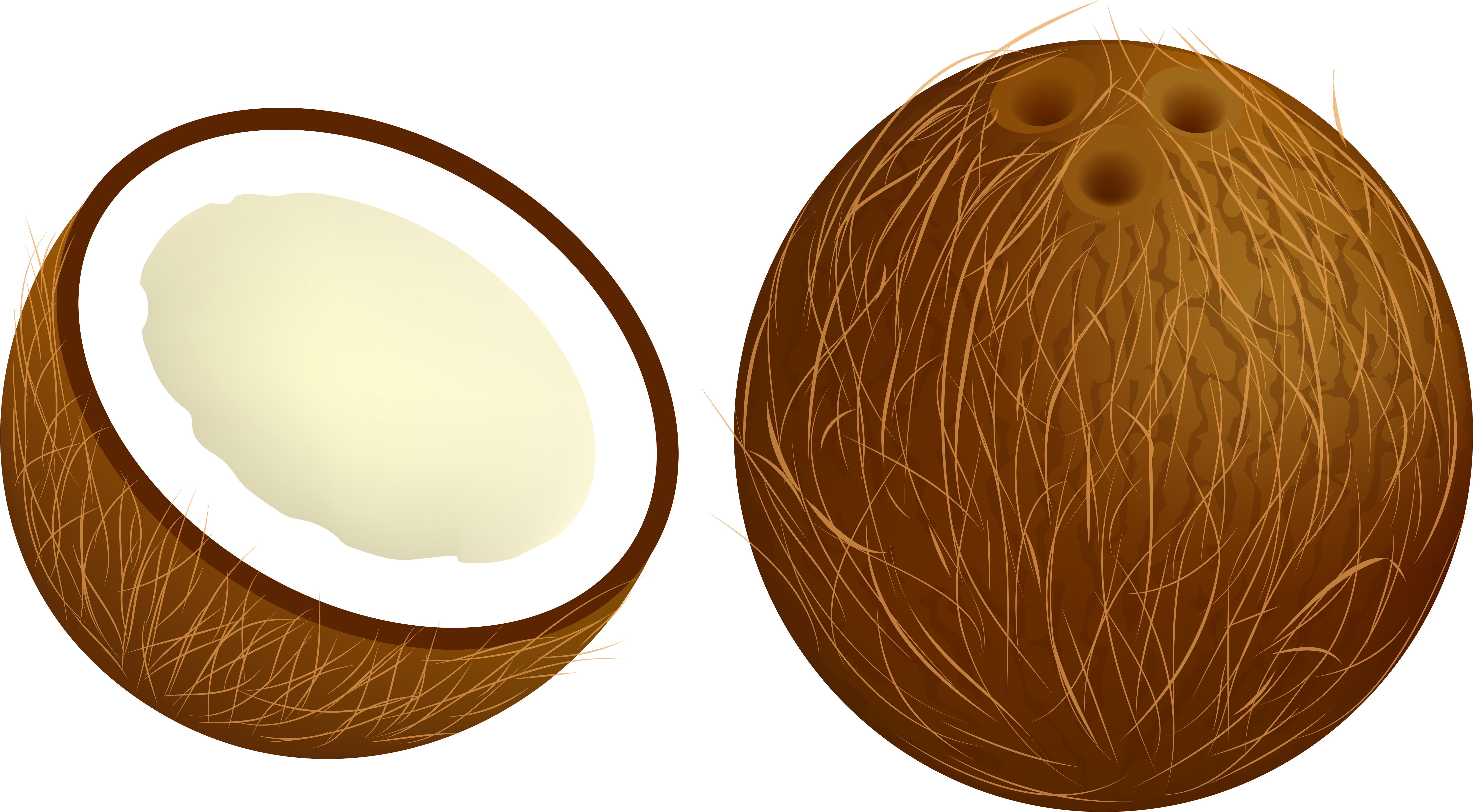 Download Coconut Png Vector Clipart Image Png Download - Coconuts ...