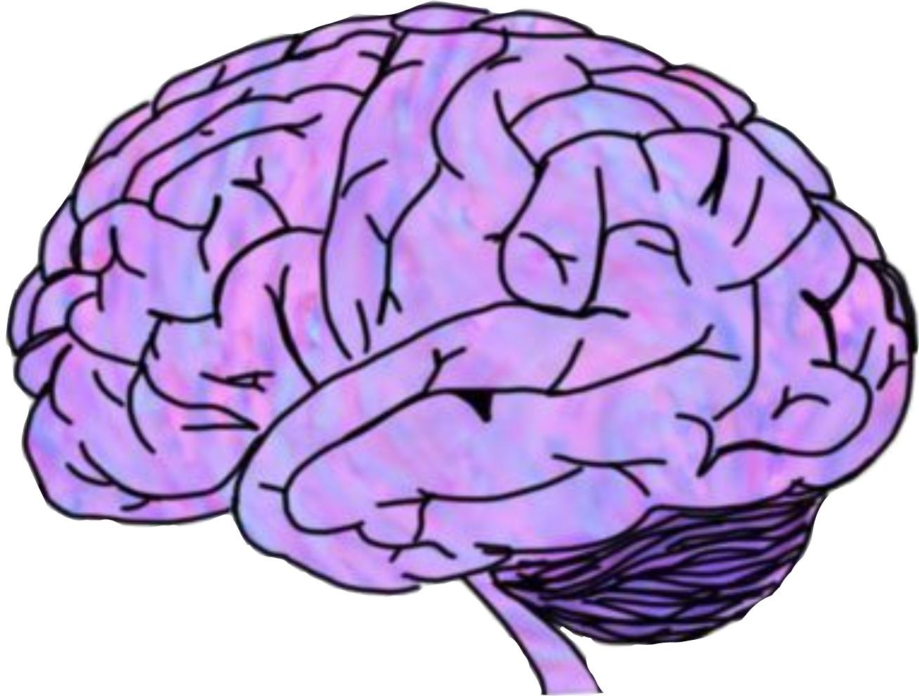 #brain #scary #crippy #mozak #purple #pink #organ #head - Brain ...