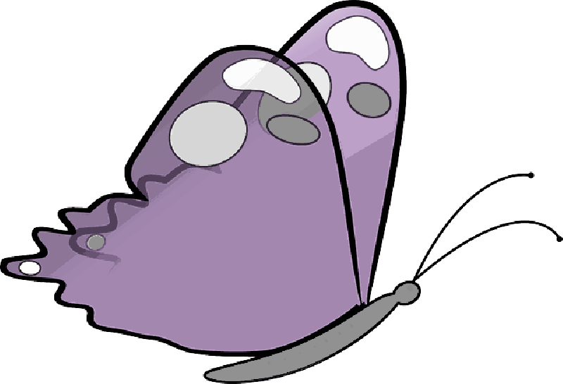 Download Pattern, Purple, Butterfly, Colors, Wings, Insect - ิ ...