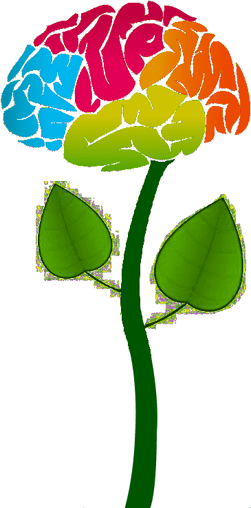 Download Brain Flower - Brain Clip Art Png Transparent Png (#5454750 ...