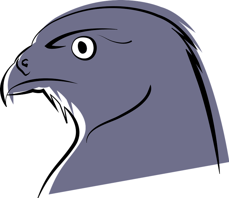 Falcon Face Clipart - Drawing Cartoon Falcon - Png Download - Full Size ...