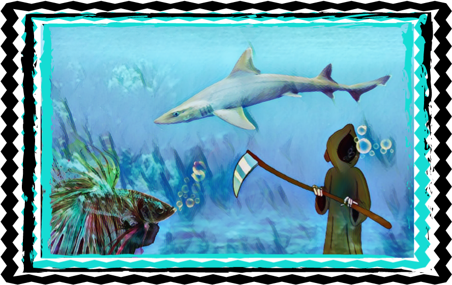#photo #layer #clipart #shark #grim Reaper - Tiger Shark - Png Download ...