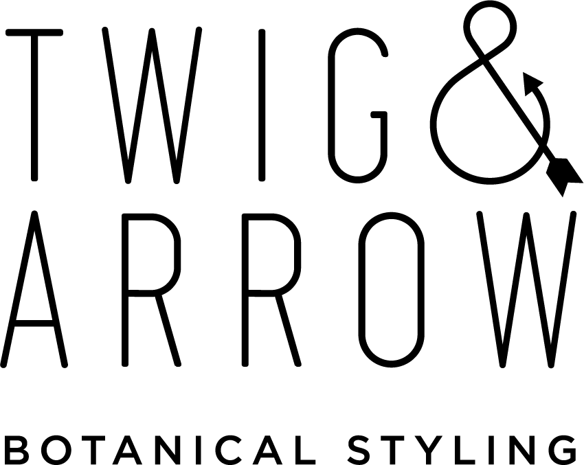 Twig & Arrow - Calligraphy Clipart - Full Size Clipart (#5460627 ...