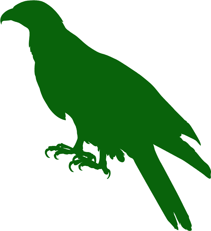 Silueta Gavilán Clipart - Full Size Clipart (#5468096) - PinClipart