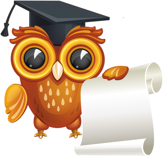 Graduation Clipart Owl - Education Owl Clipart - Png Download - Full ...