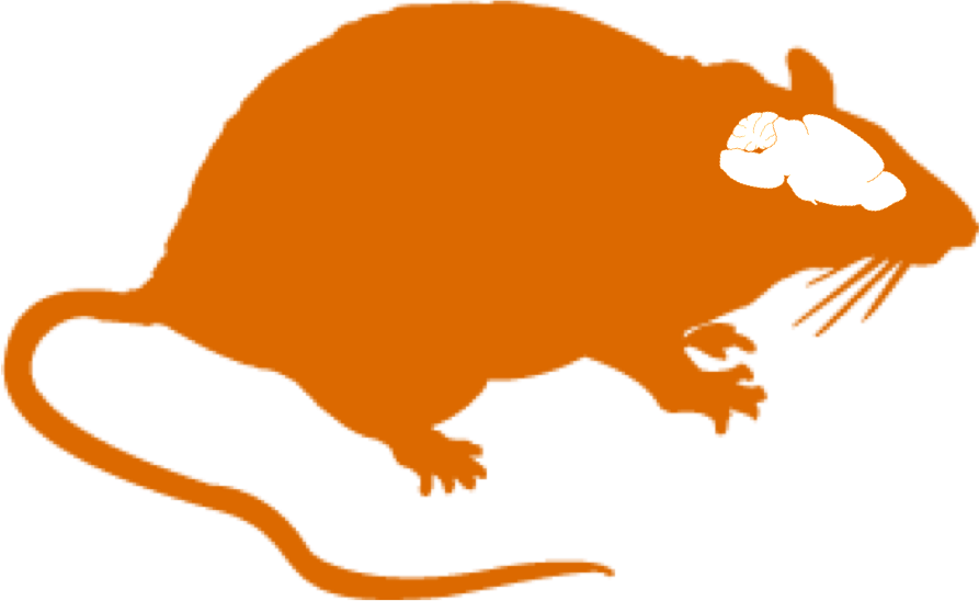 Rat Brain Clipart - Png Download - Full Size Clipart (#5489298 ...