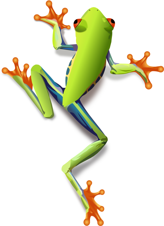 Download Clipart Frog Tree Frog, Clipart Frog Tree Frog Transparent ...