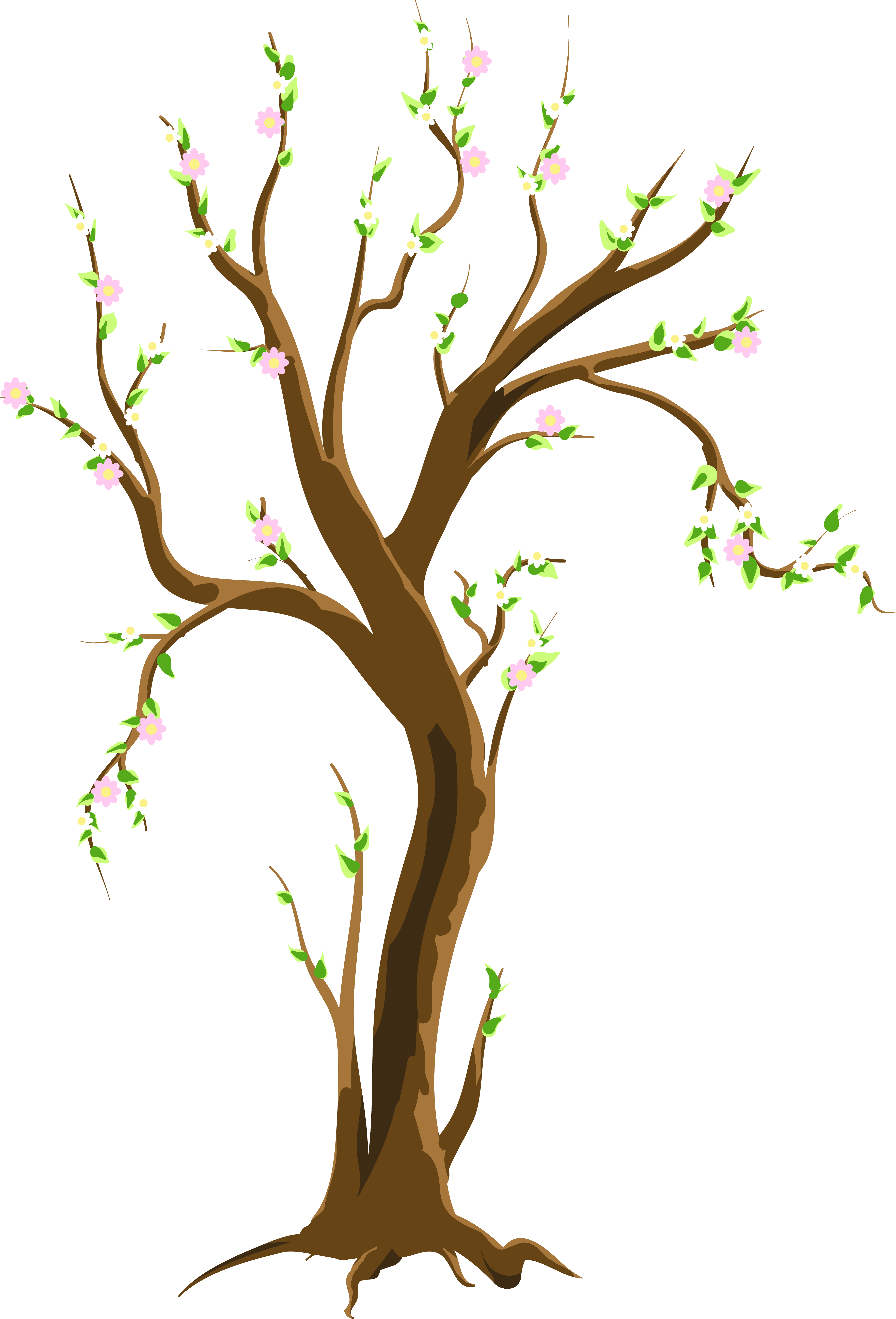 Download Spring Tree Png Clipart Picture , Png Download - Spring Tree ...