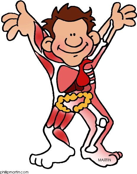 Download Human Body Systems Clipart 3 By Michael - Human Body Systems ...