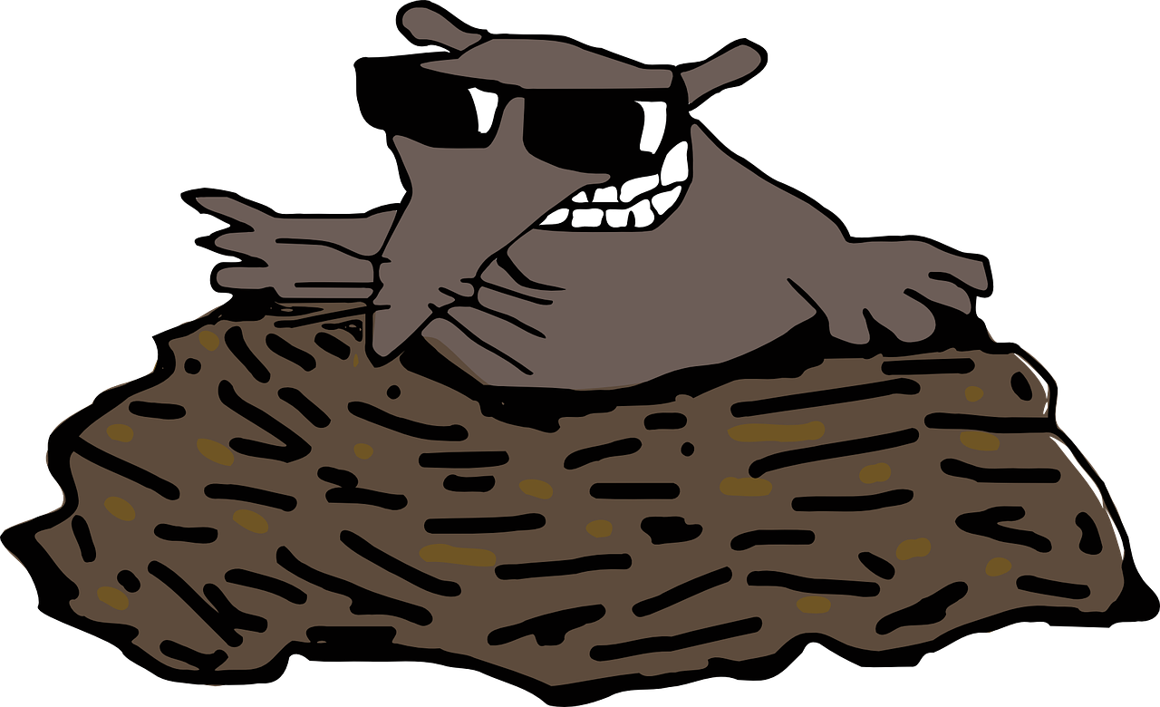 Mole Png Clipart - Full Size Clipart (#5501388) - PinClipart