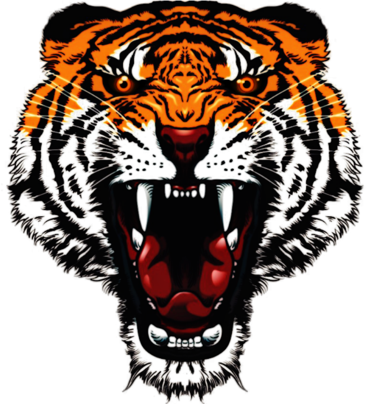 Transparent Angry Mouth Png - Angry Tiger Face Png Clipart - Full Size ...