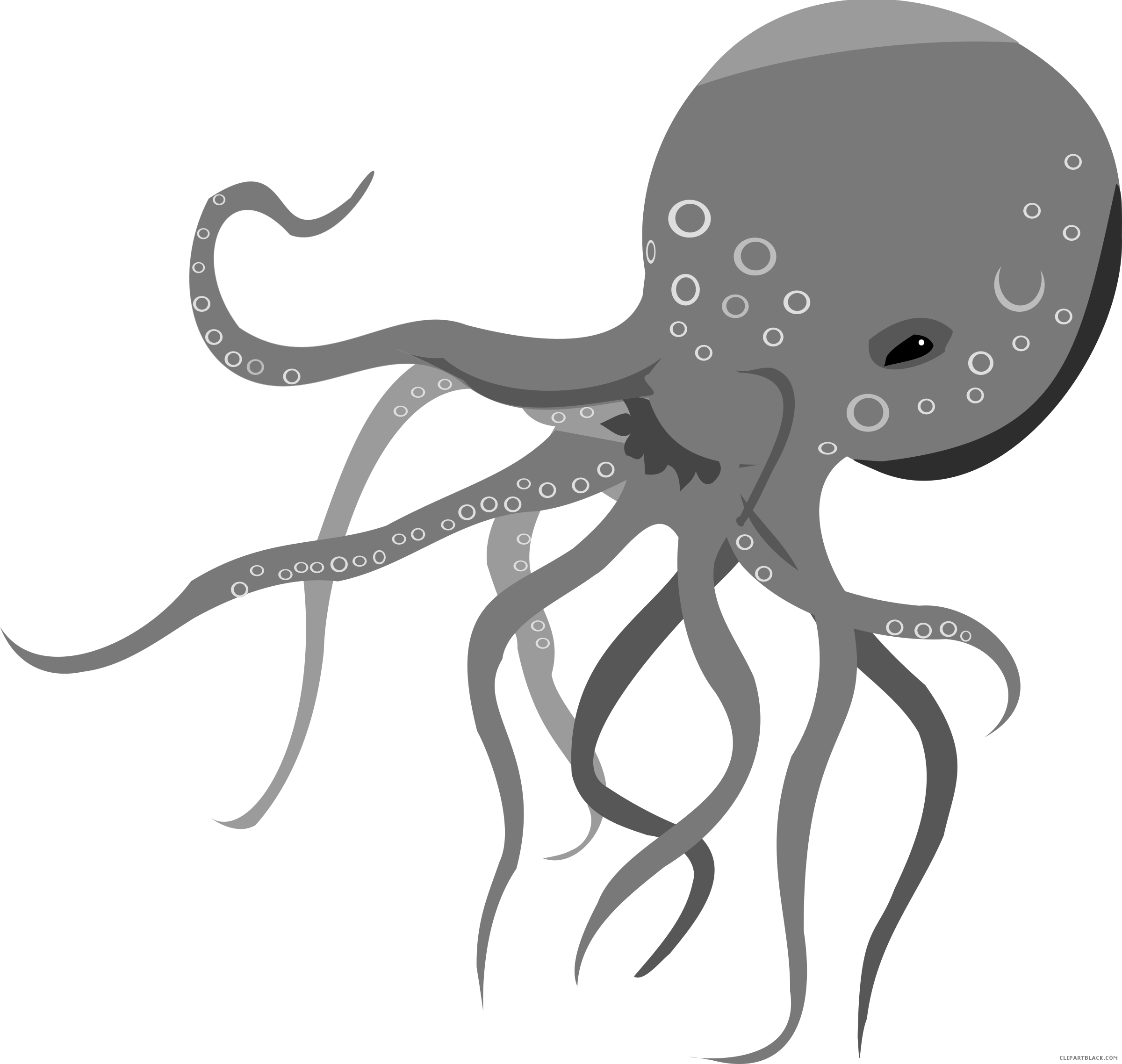 Awesome Octopus Animal Free Black White Clipart Images - Octopus Png ...