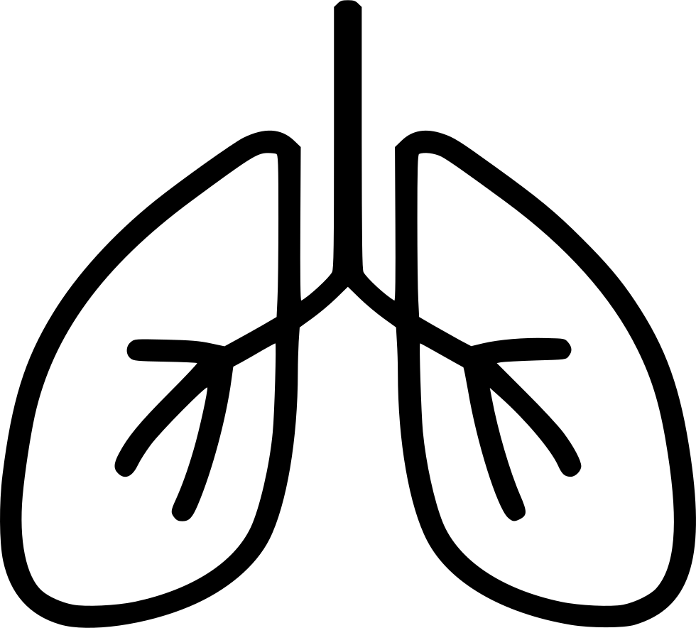 Download Breathe Png - Transparent Lungs Icon Png Clipart (#5521421 ...
