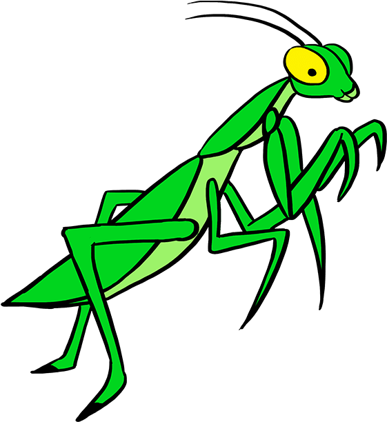 Download Transparent Praying Mantis Clip Art - Praying Mantis Drawing ...