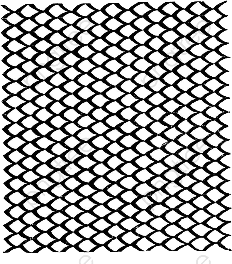 Dense Fish Scales, Fish Clipart, Black, Line Png Transparent - Fish ...