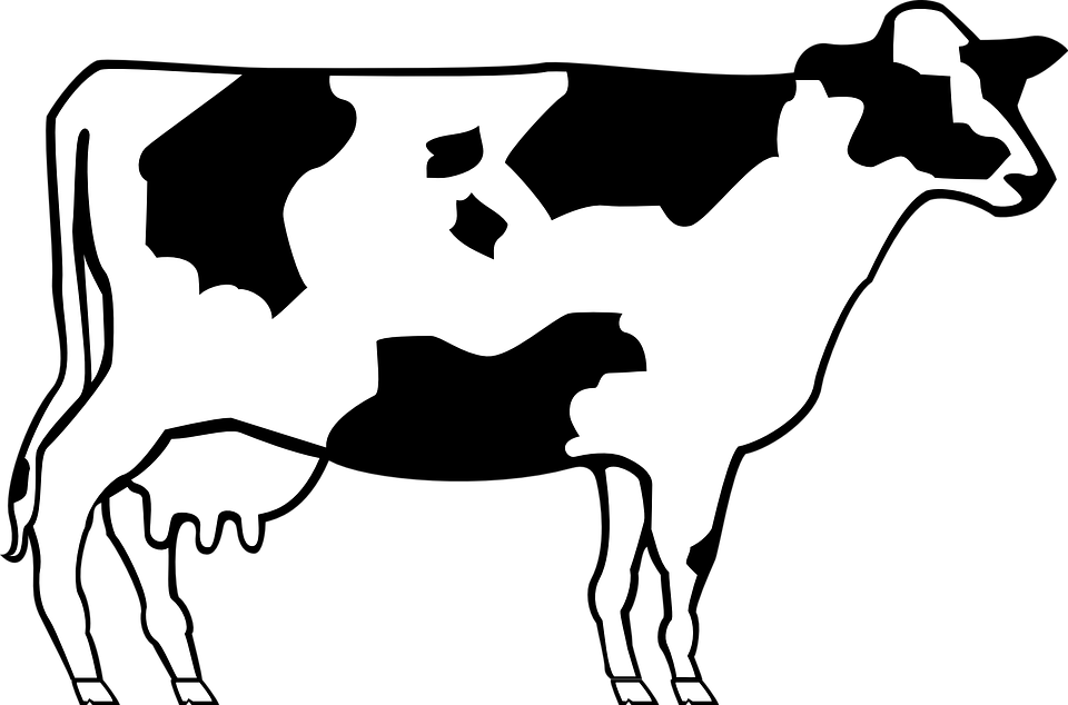 Cows Clipart Outline, Cows Outline Transparent Free - Cow Clip Art ...