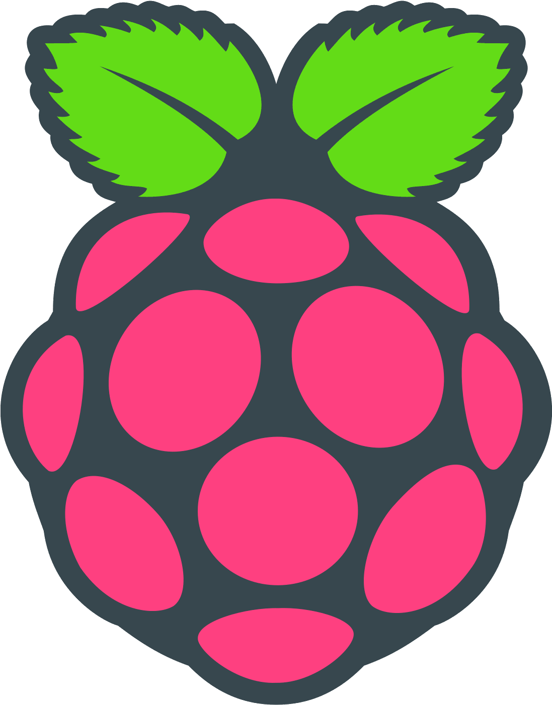 Raspberry Pi Icon Png Clipart - Full Size Clipart (#5533719) - PinClipart