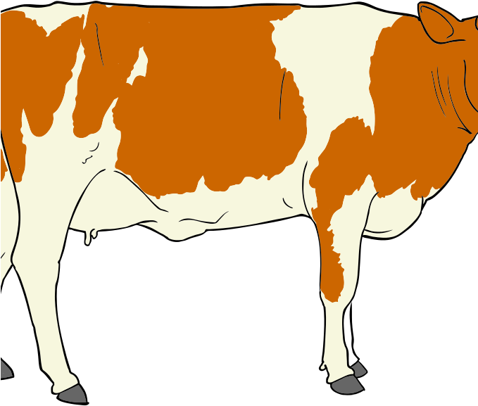 Png Transparent Library Beef Cow Clipart - Domestic Animals And Their ...