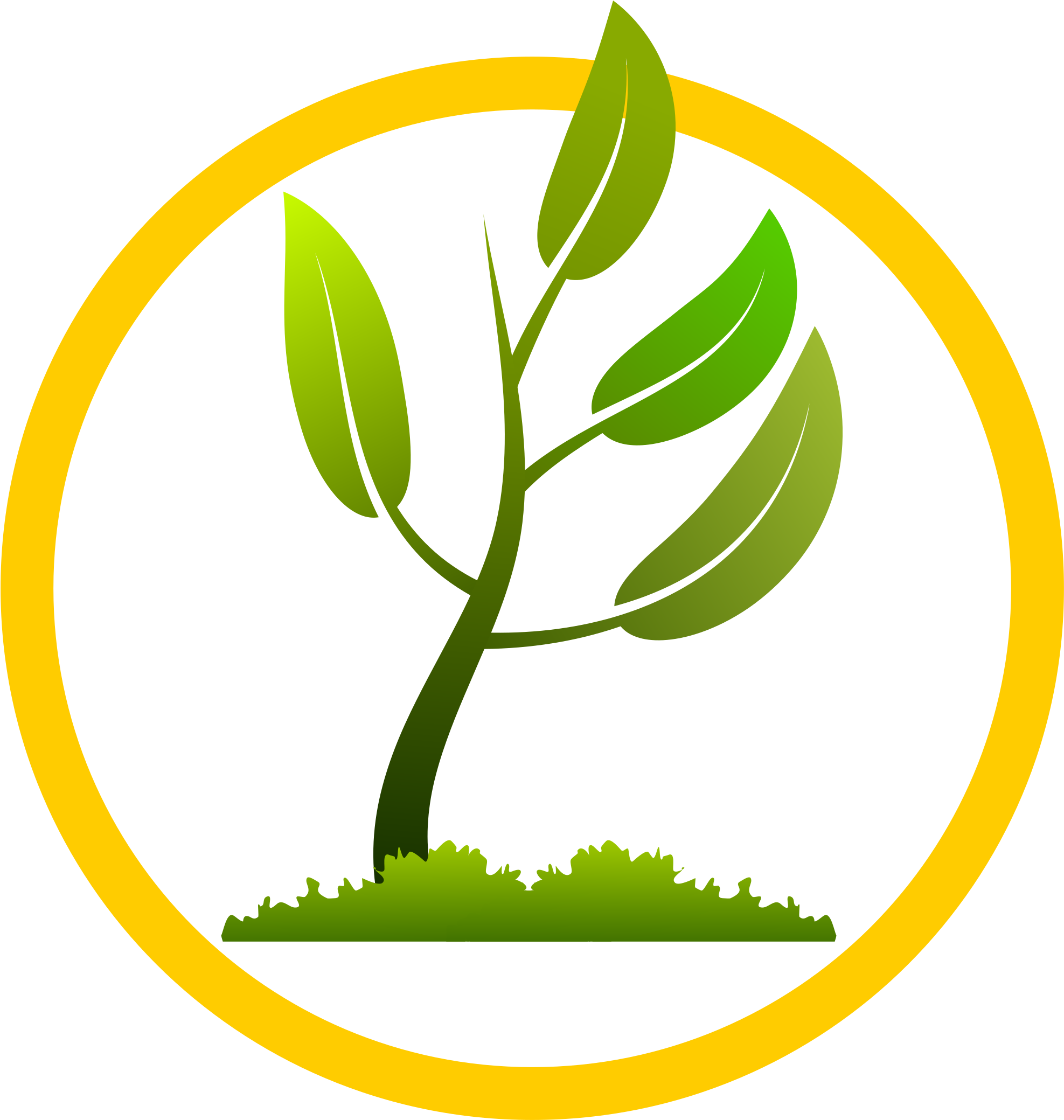 Small Plant Growing Png - Tree Planting Logo Png Clipart - Full Size ...