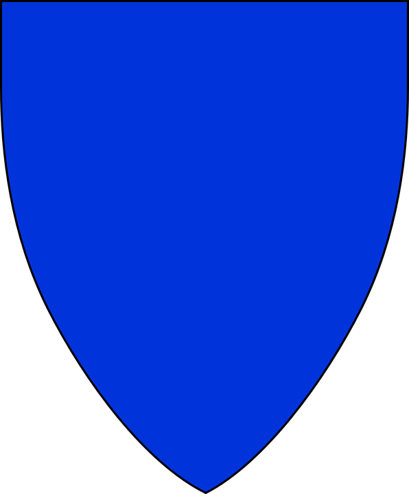 Blue Outline Shield Clipart - Blue Clipart Shield - Png Download - Full ...