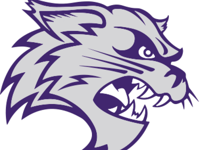 Transparent Bearcat Mascot Clipart - Wiley College Mascot - Png ...