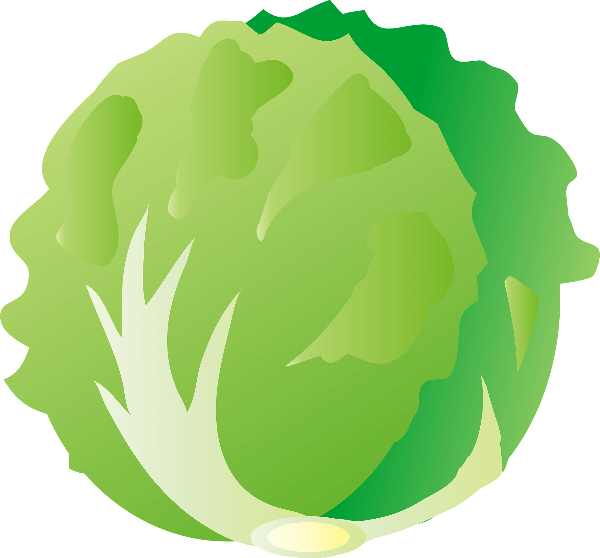 Lettuce Clipart - Full Size Clipart (#5554192) - PinClipart