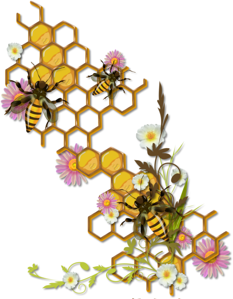 Beehive Honeycomb Clip Art Honeycomb Background Cliparts Png Download Porn Sex Picture 