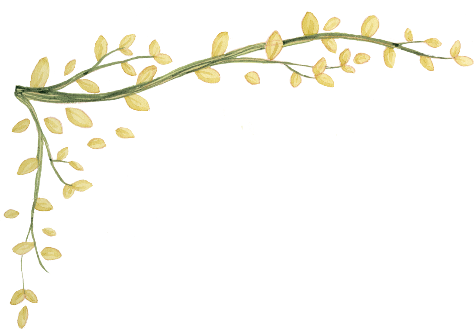 Twig Drawing Border - Border Leaves Design Drawing Clipart - Full Size ...