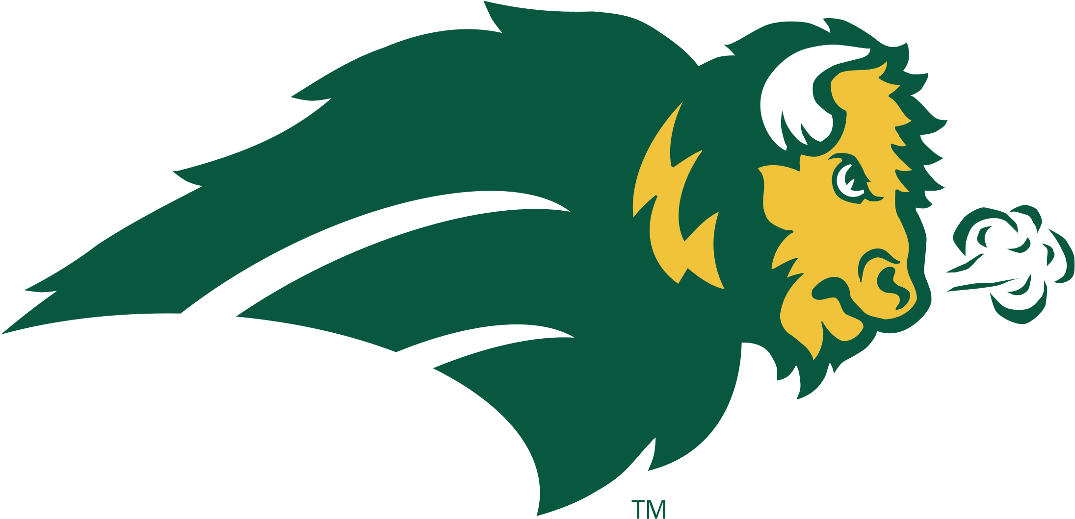 Download Ndsu Bison Logo Png Transparent - North Dakota State Bison ...