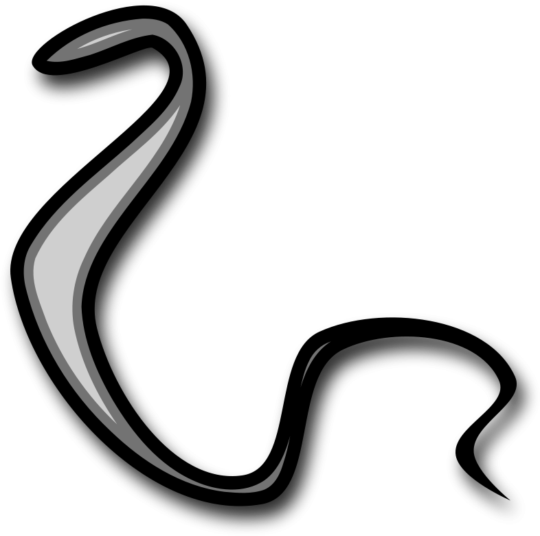 Snake Body Png Black And White Clipart - Full Size Clipart (#5561041 ...