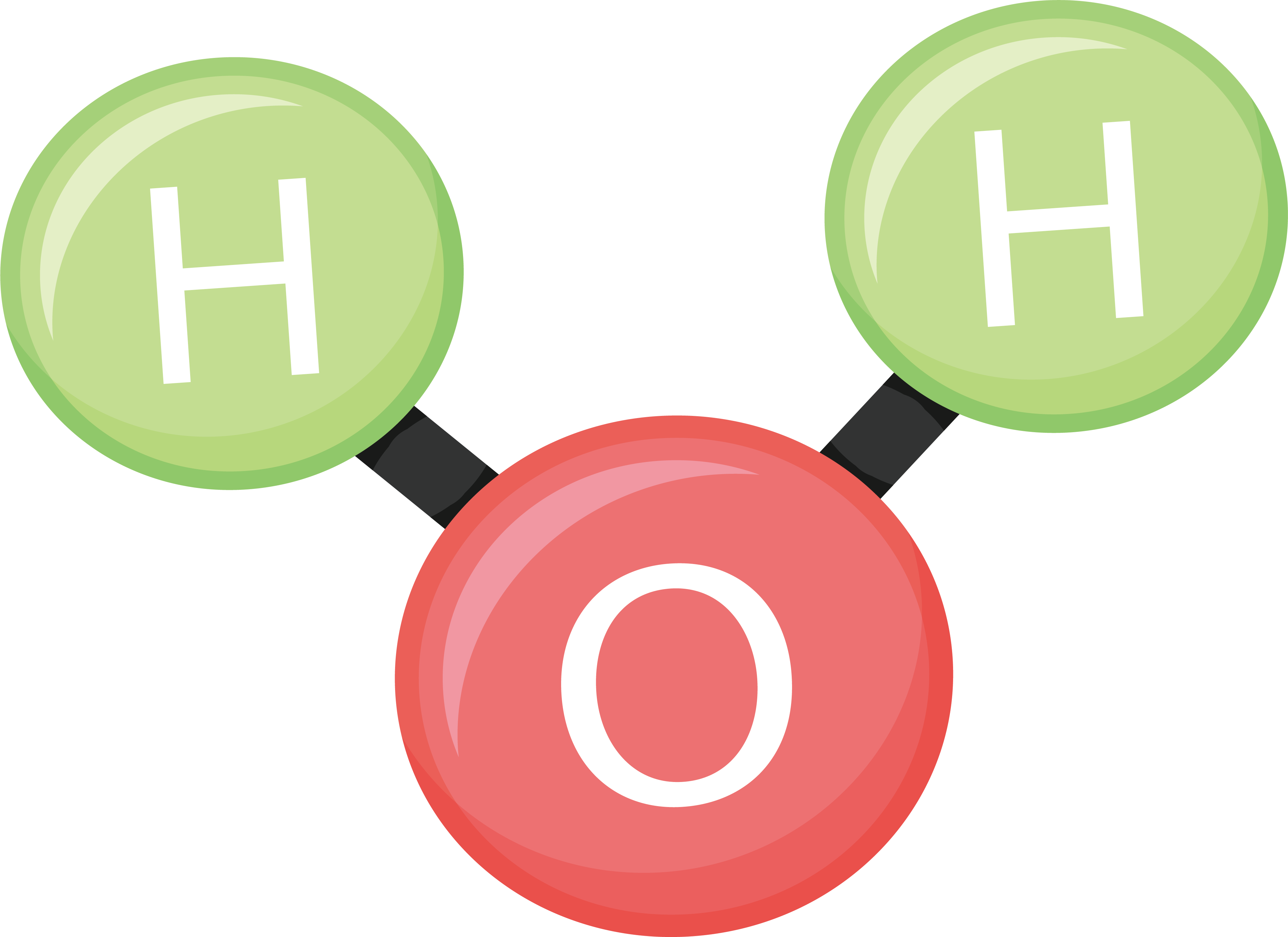 Water Molecule Hydrogen Bond