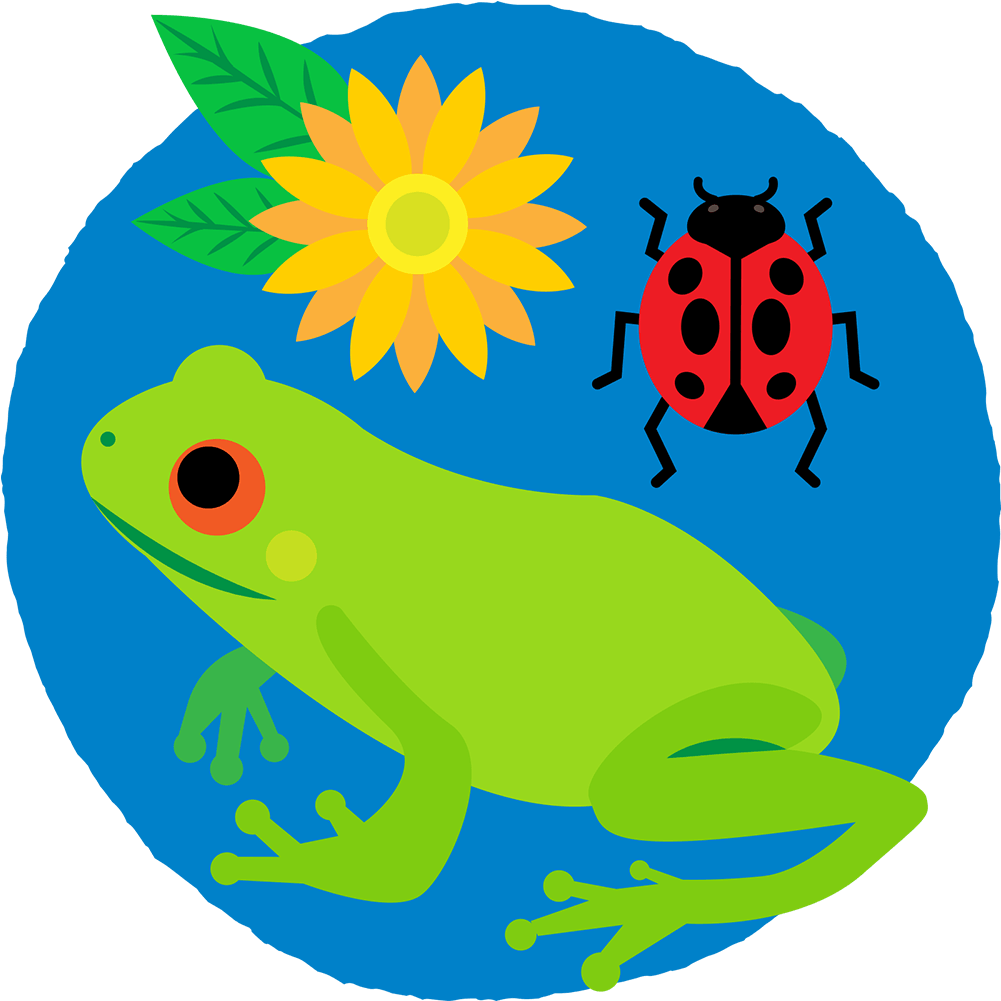 Download Frog, Ladybug And Flower In A Circle - Biodiversity Pictures ...